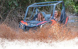 10 Reasons to Visit Selvatica! - Tripadvisor reviewers loves Selvatica