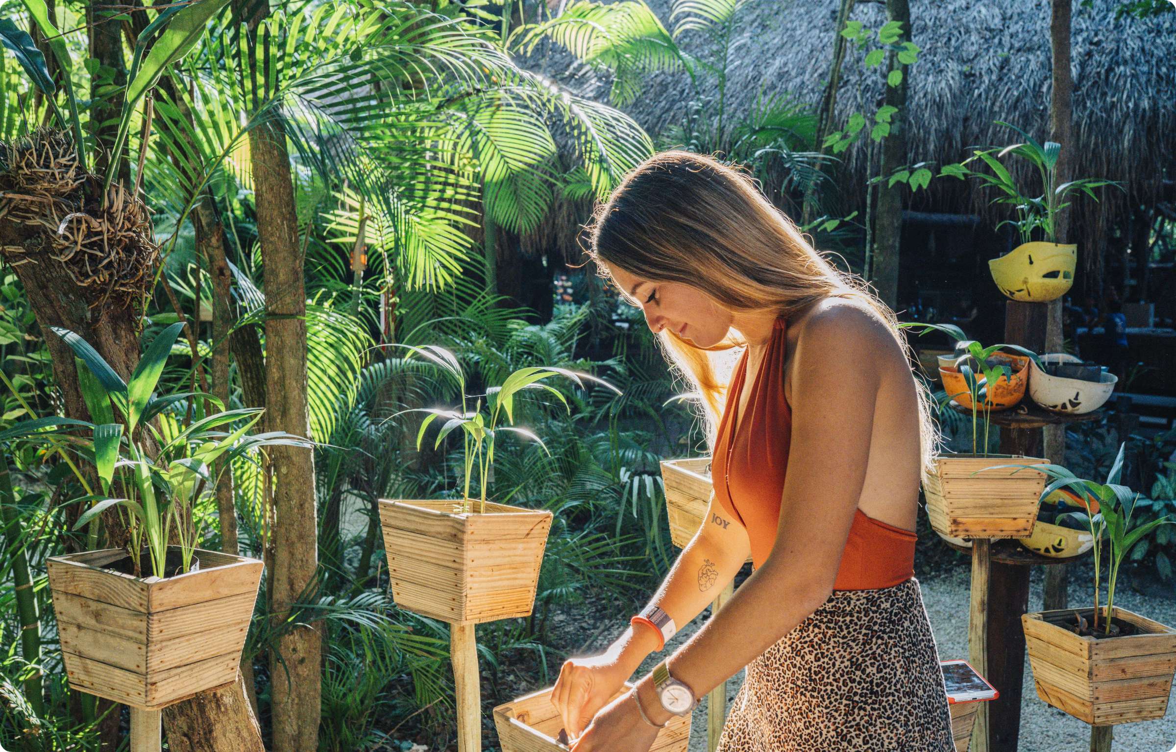 Tour por la jungla Maya| Tirolesas en Cancún