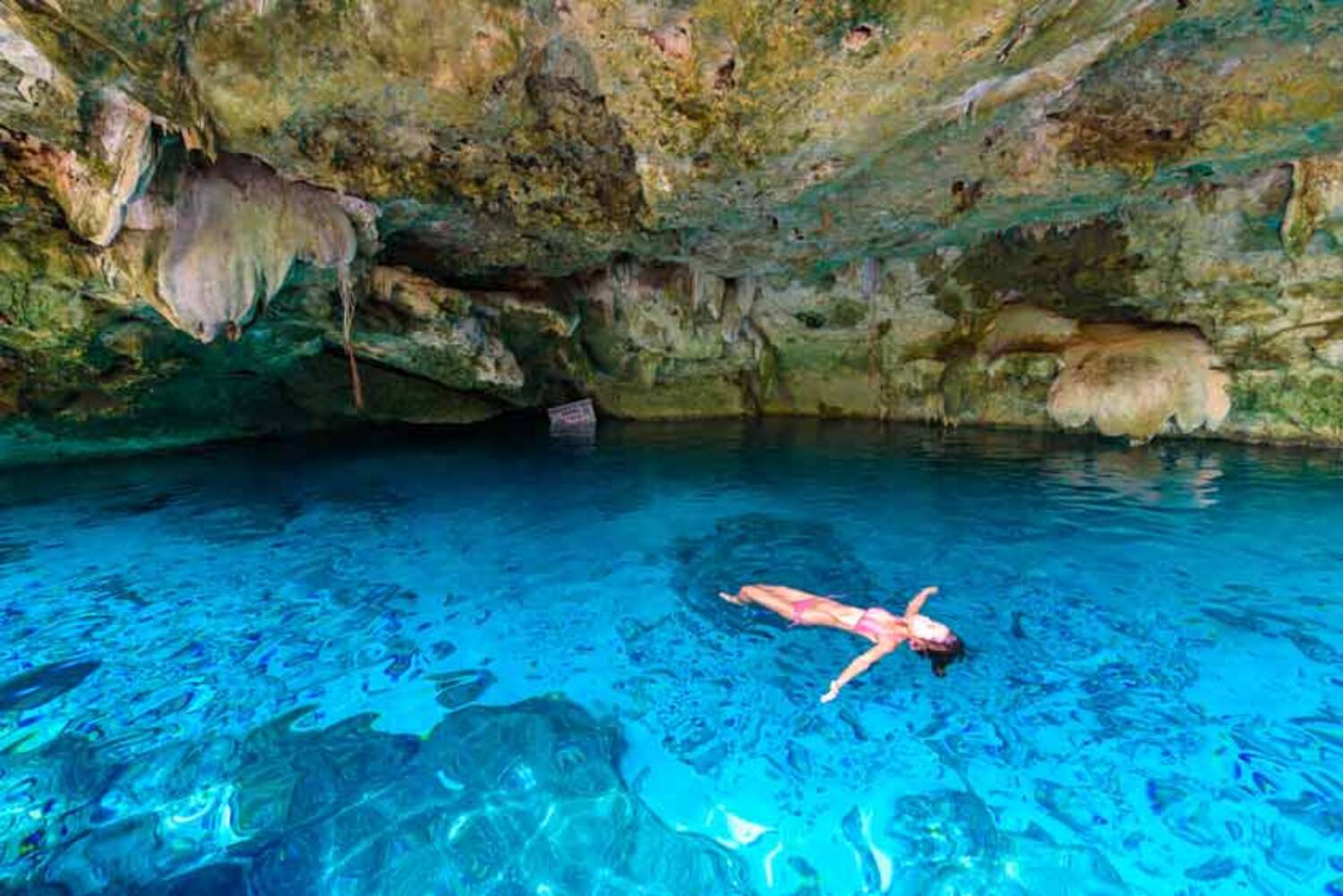 ¿Hay Cenotes cerca de Cancún? | Selvatica