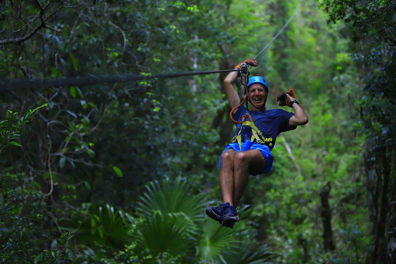 How to Get to Selvatica in Cenotes Route in Riviera Maya?